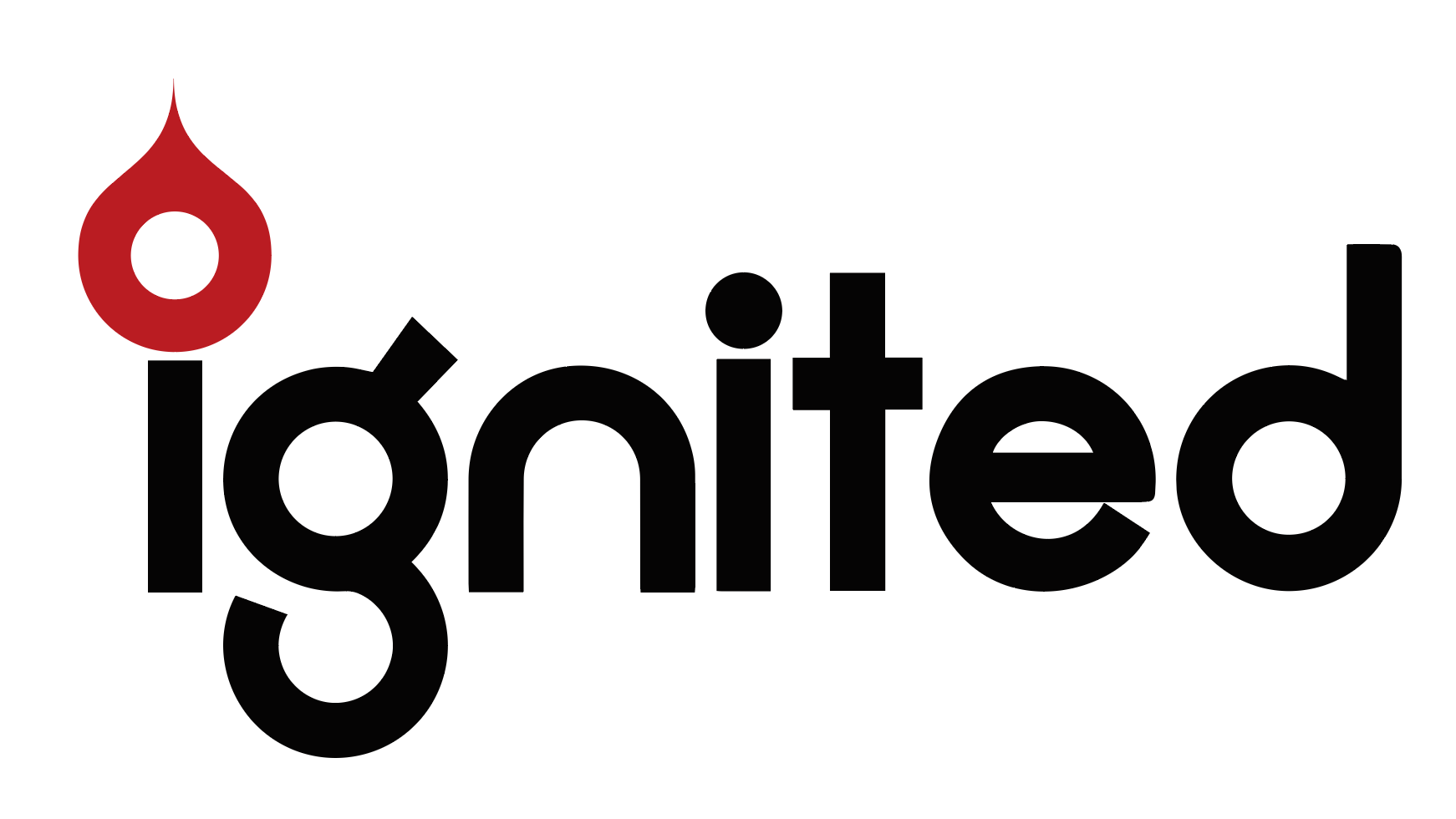 ignited-Premium Kitchen Knives – Ignited